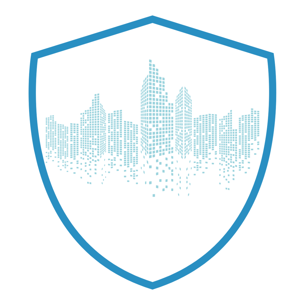 Smart City security flash Networks